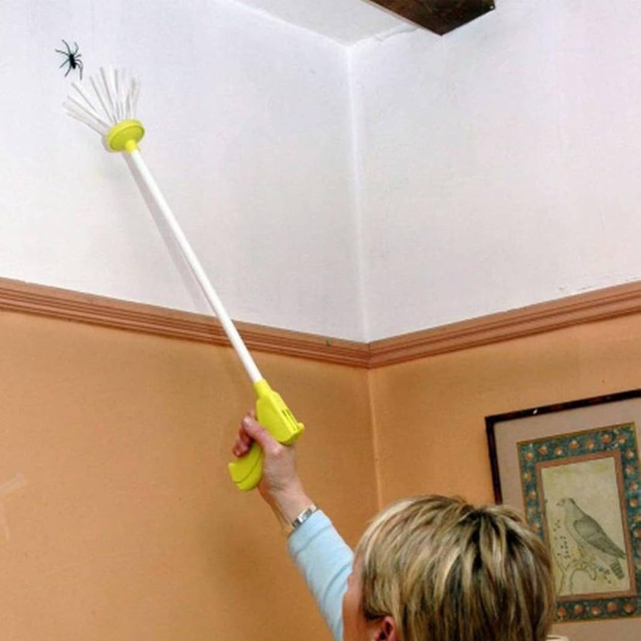 Cazador De Insectos Portátil Con Mango Para Capturar Cucarachas Y Otros ...