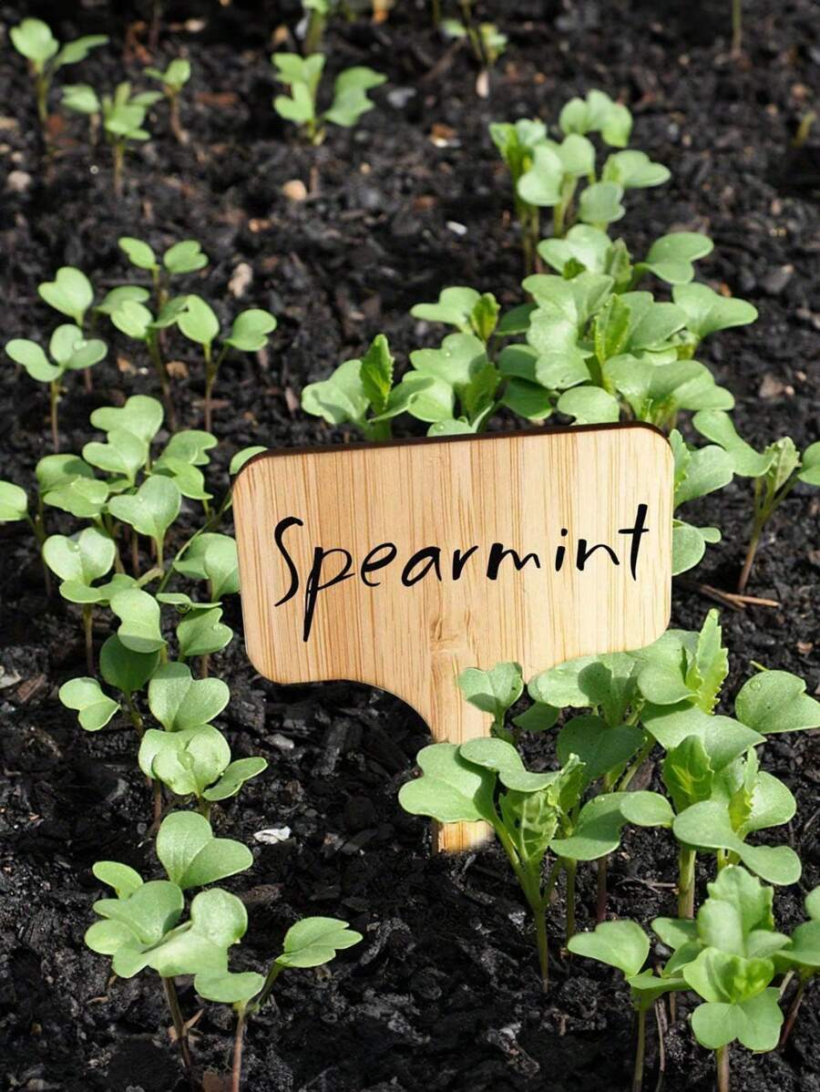 10pcs, Bamboo Plant Labels Plant Tags For Seedlings T-Type Plant Tags ...