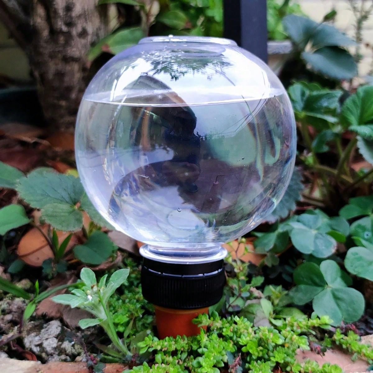 1pc Optional Style Automatic Watering Ball For Household Plant ...