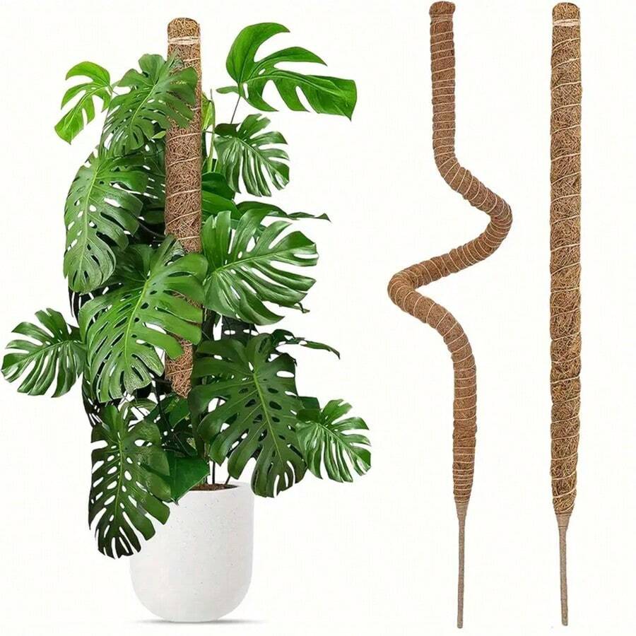 Multi-Size Coconut Fiber Sticks Coconut Moss Palm Vine Plant Support ...