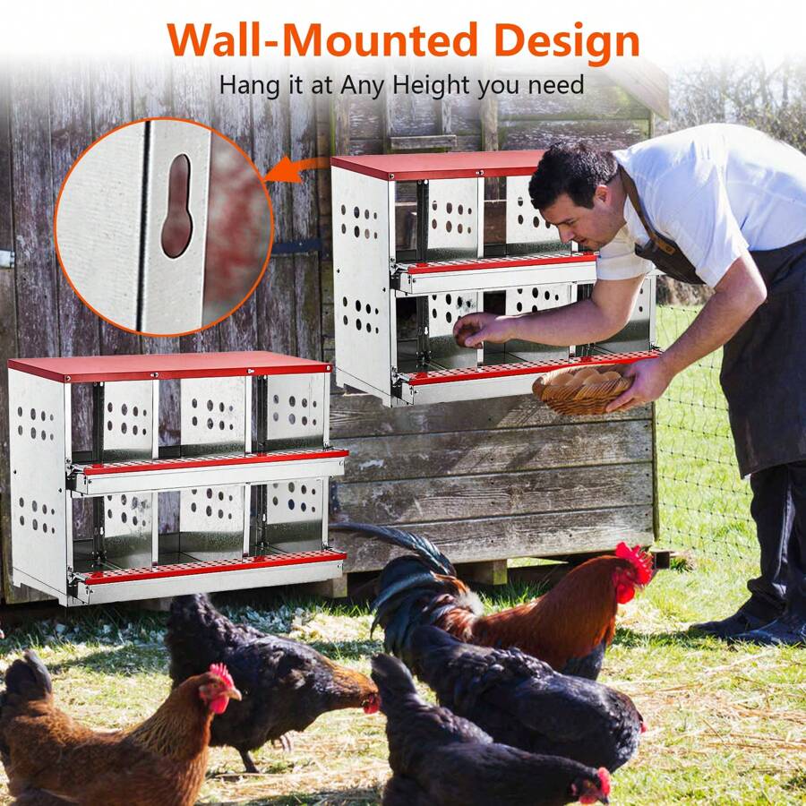 Chicken Nesting Boxes, 6-Hole Metal Chicken Nests Boxes Laying Eggs ...