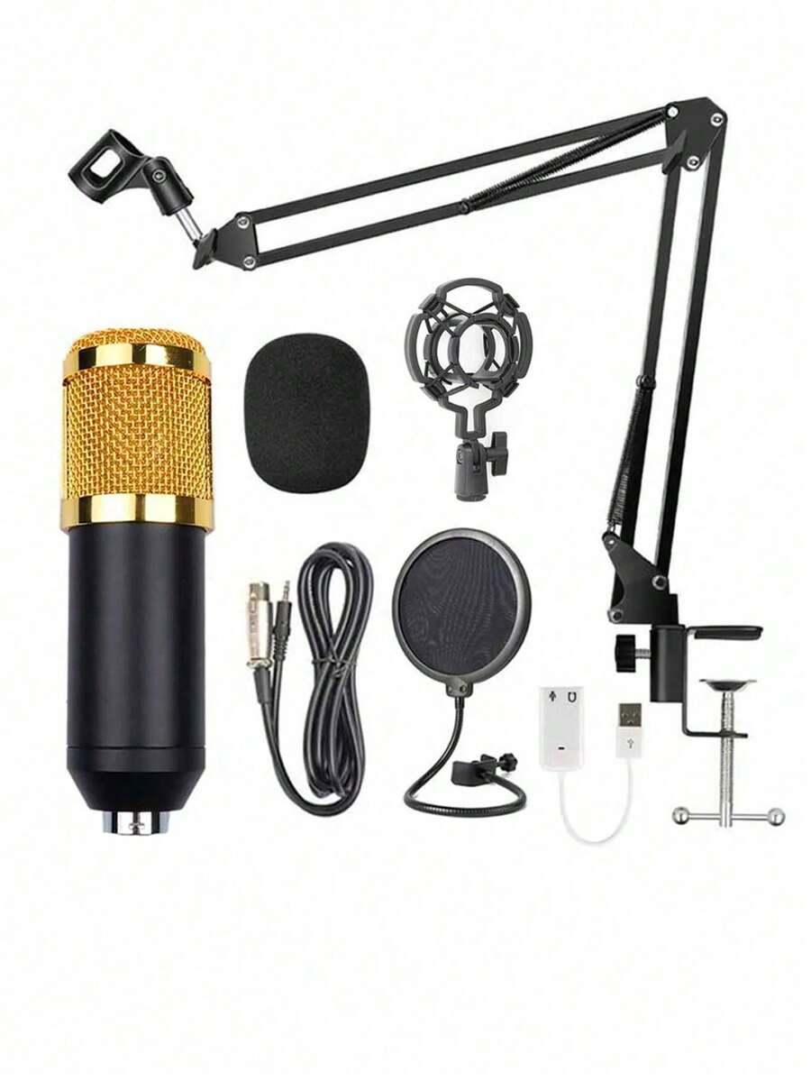 Marketing BC Professional Kit Condenser Microphone Recording Studio KTV ...