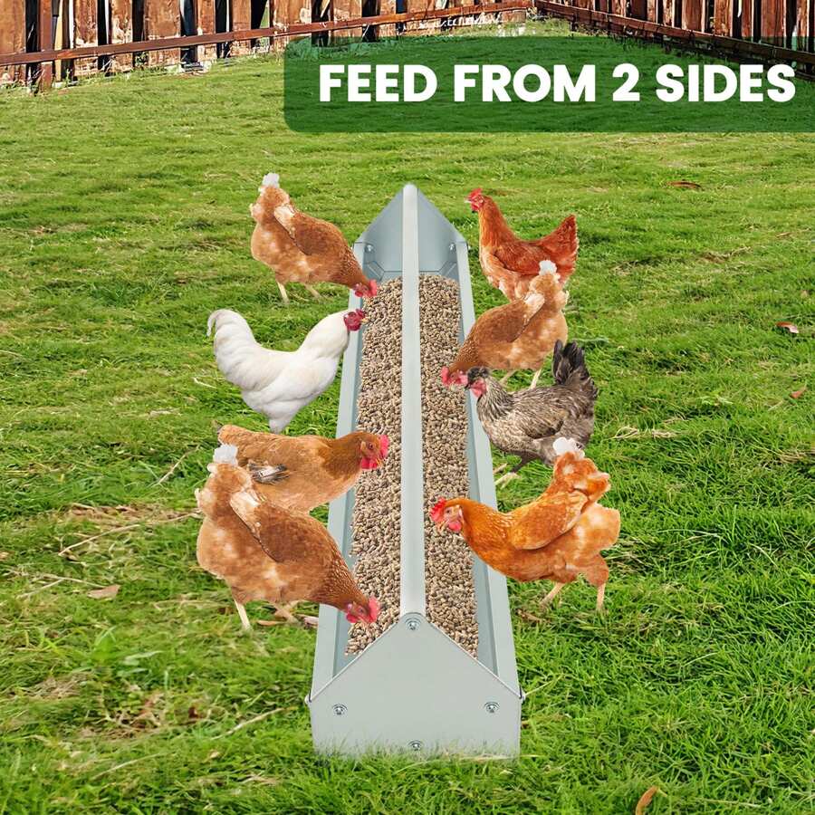 Metal Chicken Feeding Trough Galvanized Steel Chicken Feeder With ...