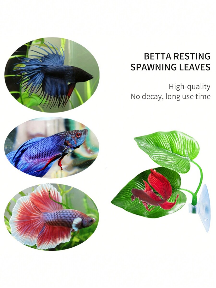 1pc Betta Leaf Bed Fish Resting Leaf Betta Hammock Beta Tank ...