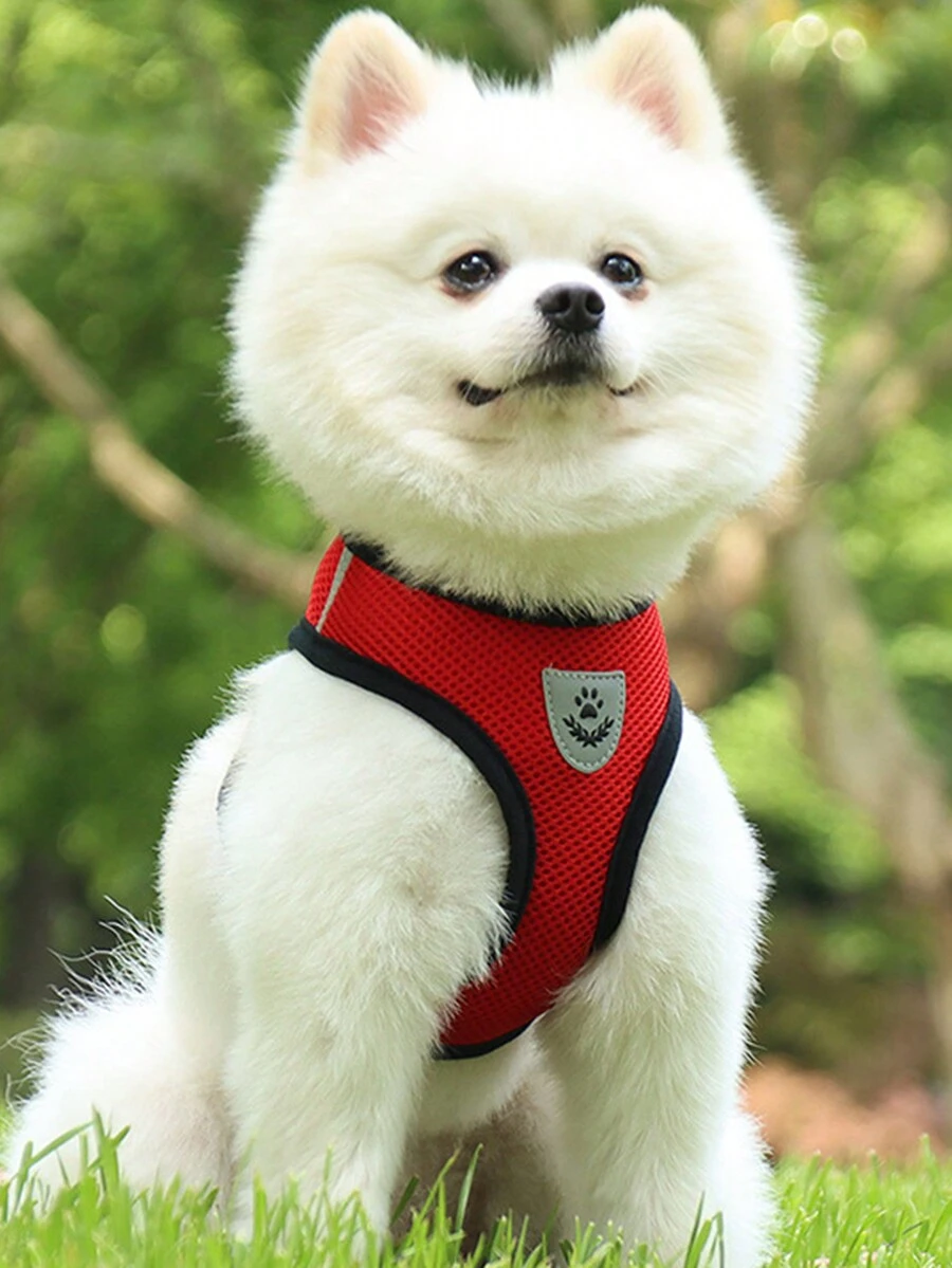 Breathable Mesh Chest And Back Strap Set With Buckle For Small Dogs And ...