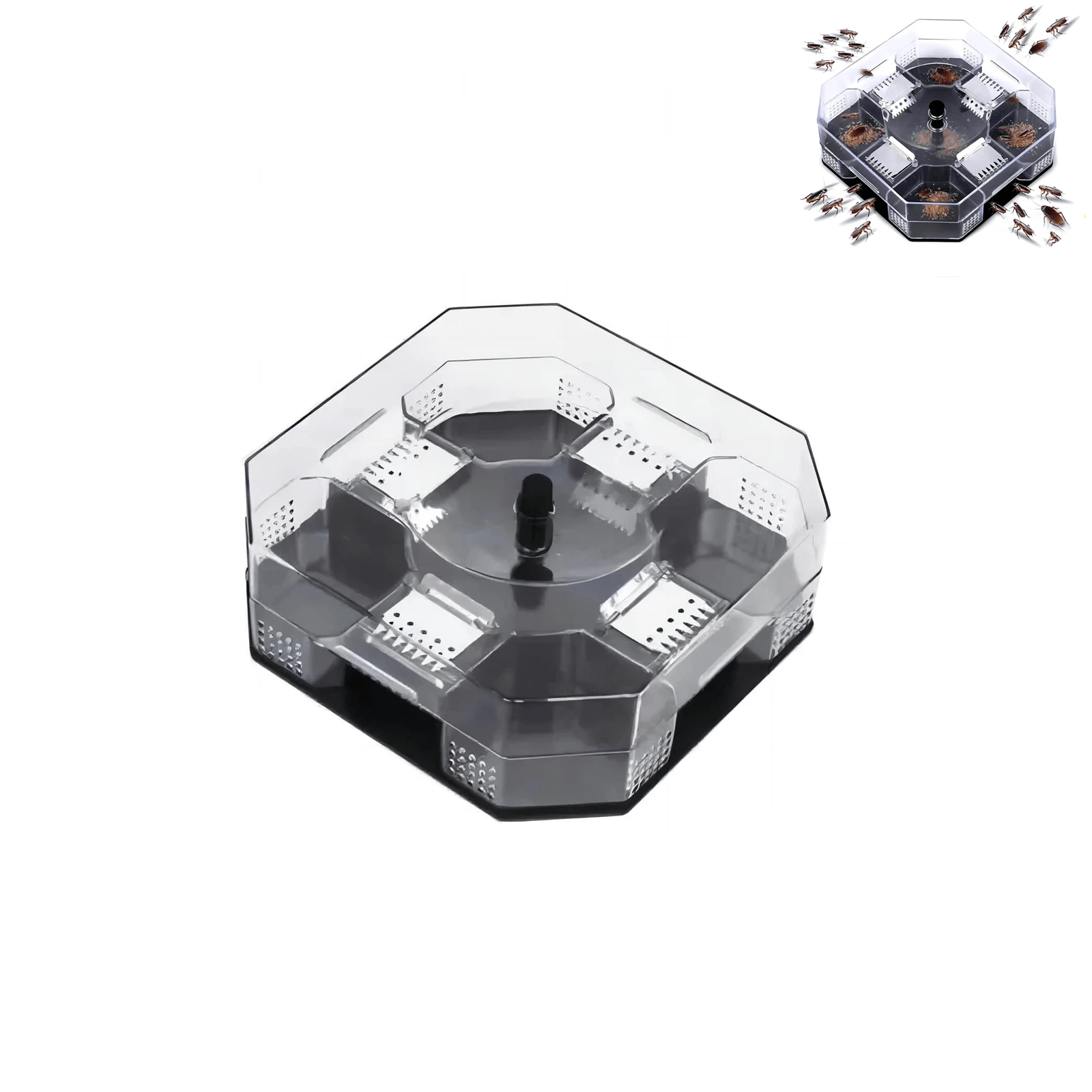 Reusable Cockroach Trap To Capture Various Cockroaches Using Leftover ...