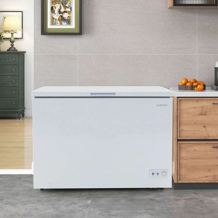 10 Cu. Ft. Chest Compact Freezer With 7-Level Temperature, Removable ...