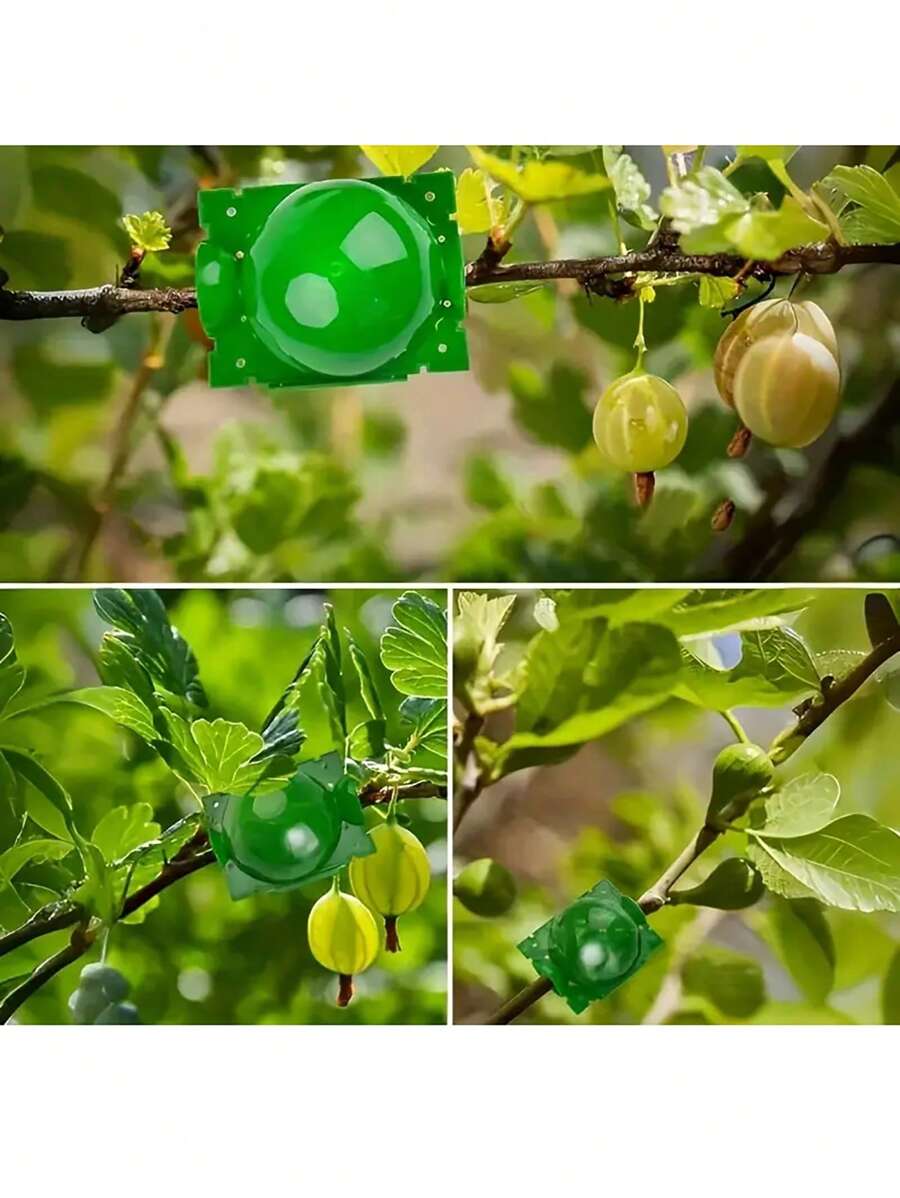 3PCS (Small + Medium + Large Size) Plant Propagation High-Pressure Box ...