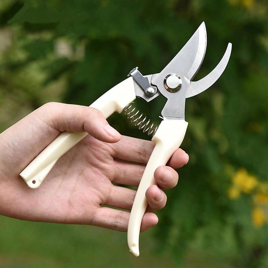 1 Garden Scissor For Cutting Plants, Pruning Plants, Bonsai, And Fruit ...