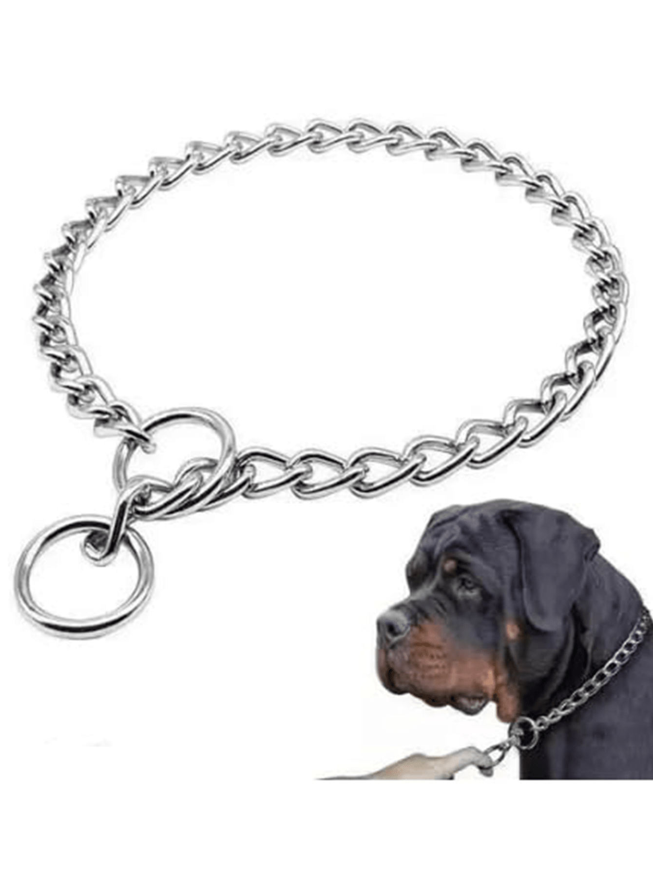 1pc Simple Stainless Steel Teddy Golden Retriever Dog Double Circle ...