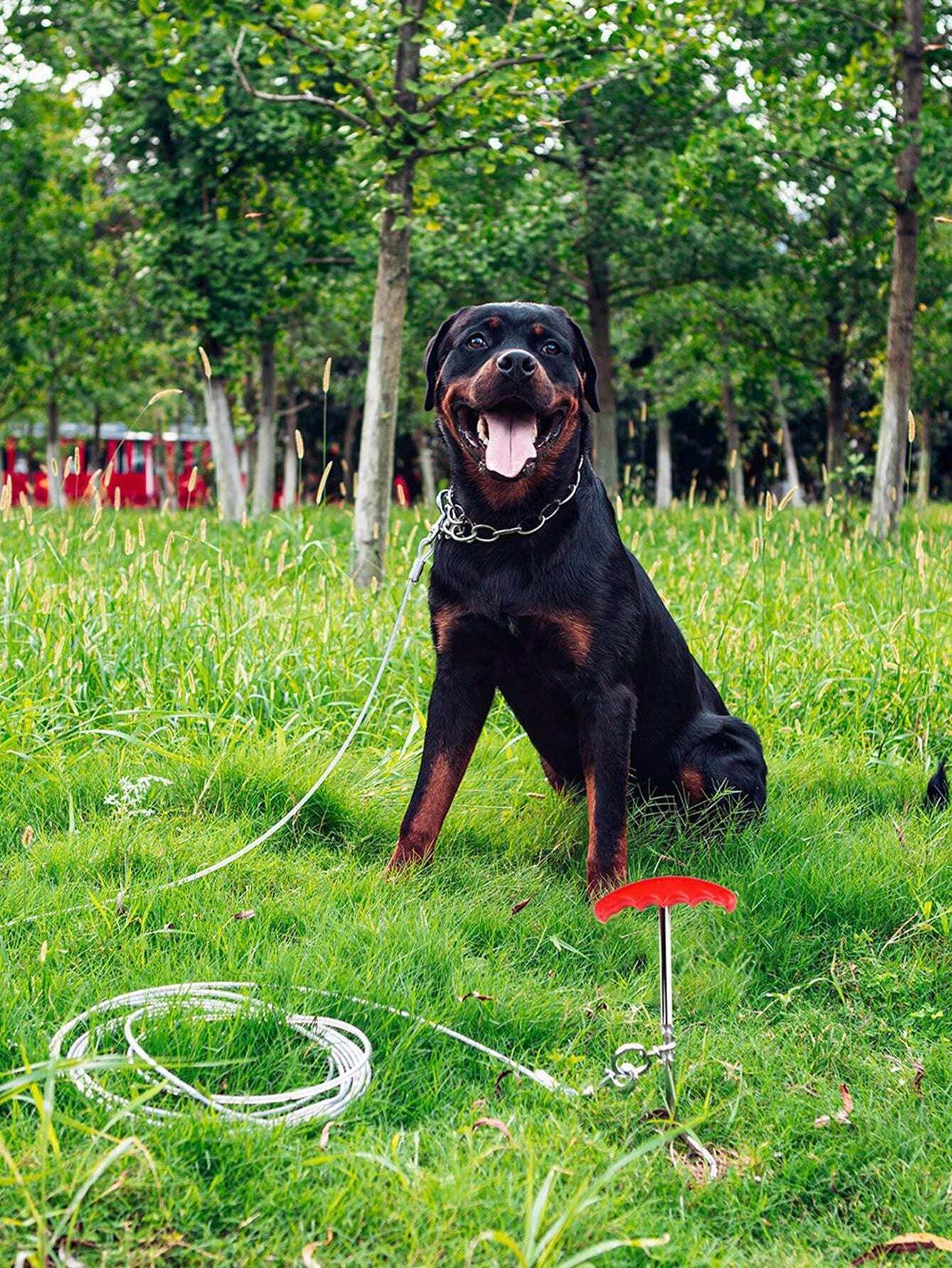 Dog Leash Steel Wire Bite-Proof Rope For Walking, Medium-Large Dog ...