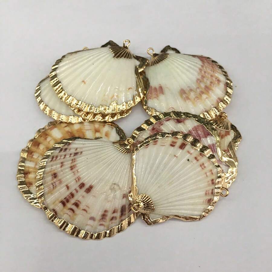 1/5pcs/Set Fashionable Natural Fan-Shaped Shell With Gold Edge Wrapped ...