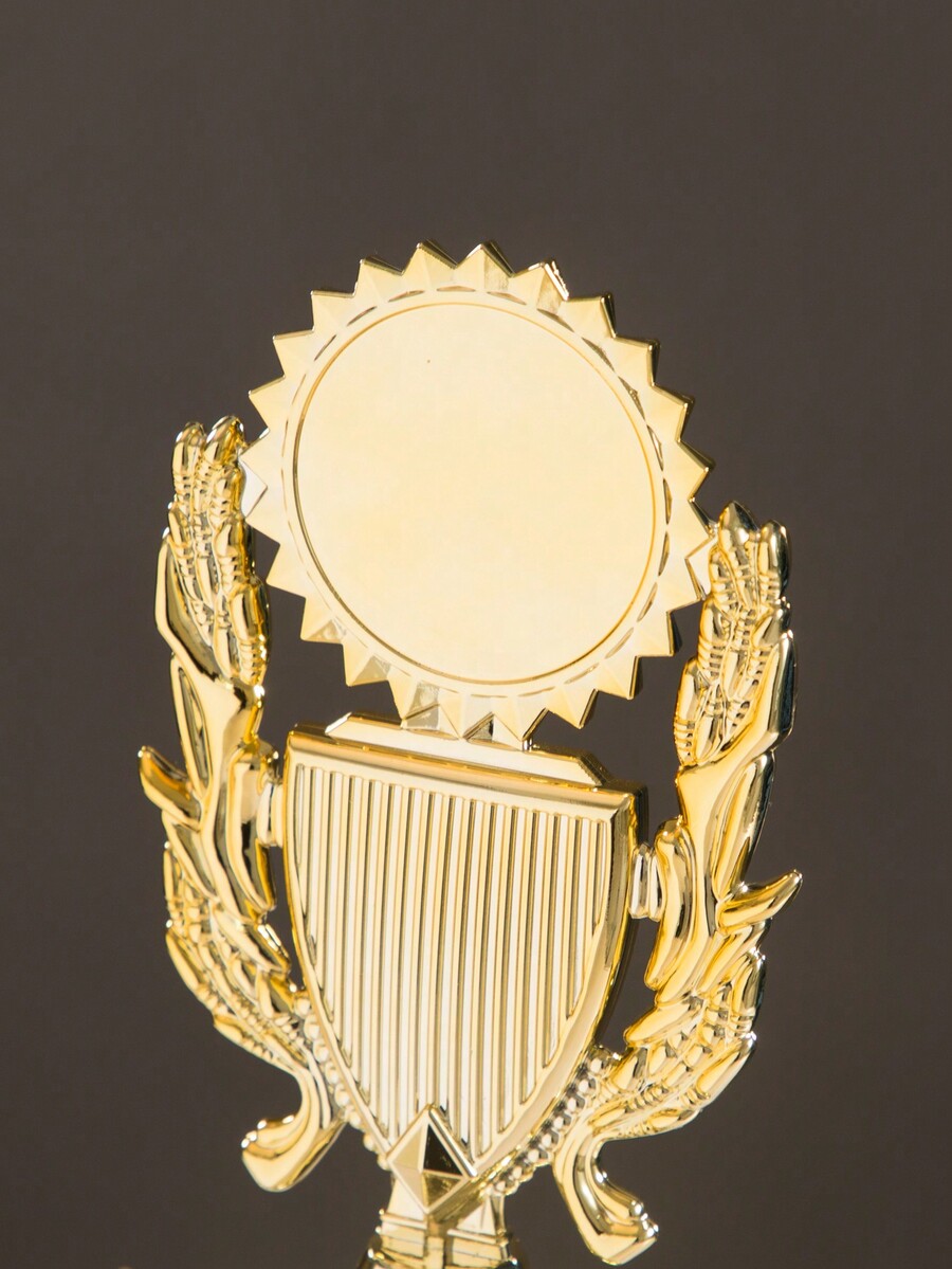 1pc Trophies For Sporting Events, Competitions, School Games, Spelling ...