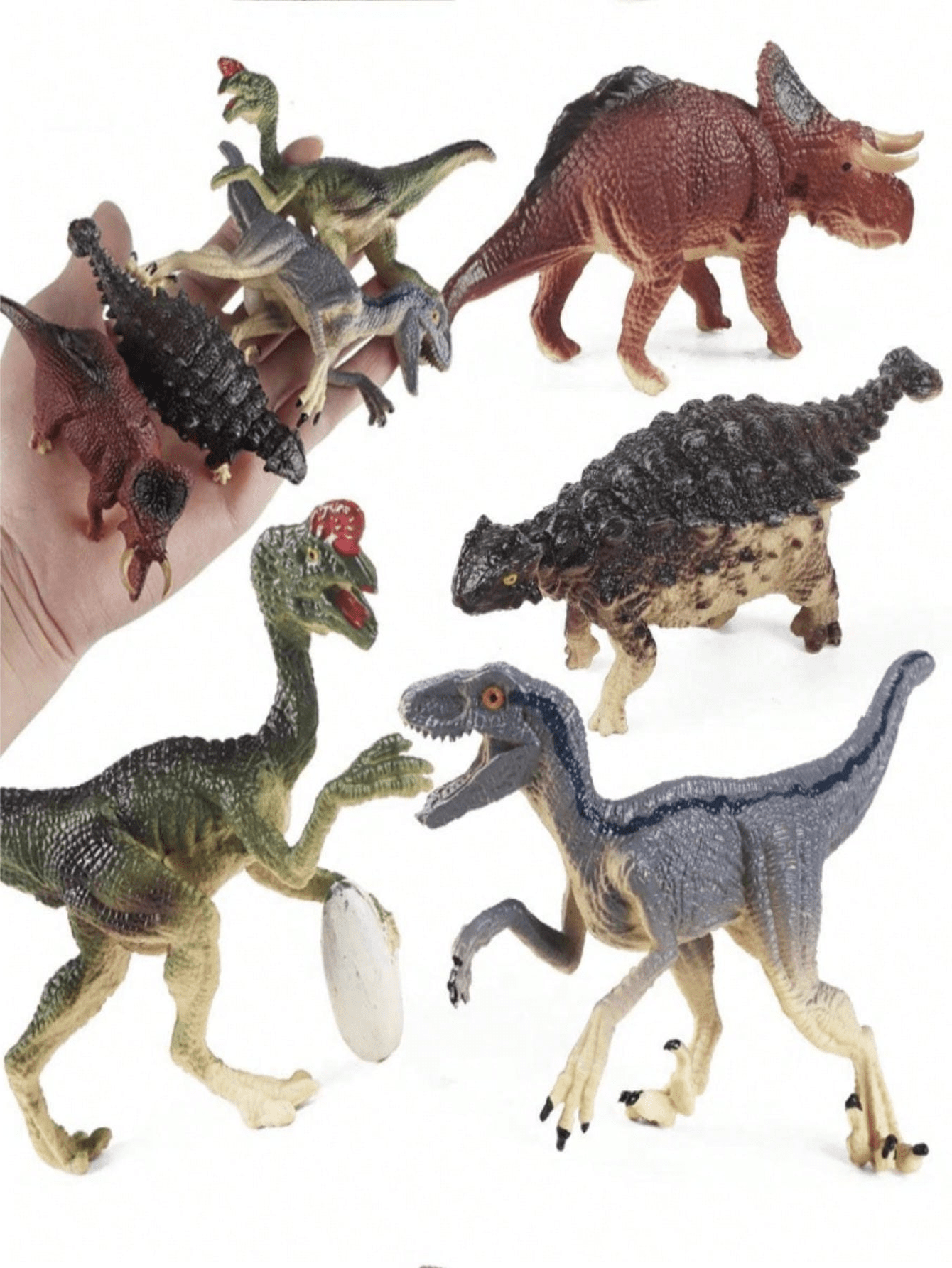 Medium-Sized Jurassic Realistic Dinosaur Toy Model Collectible Figure ...