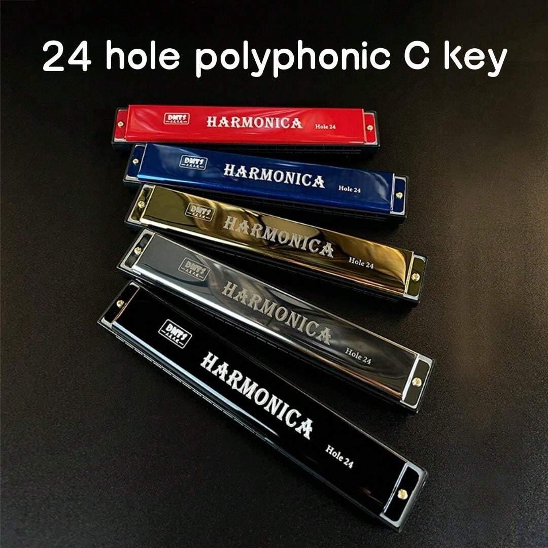 Metal Material 24 Holes Harmonica With Brass-Reed Double-Row Structure ...
