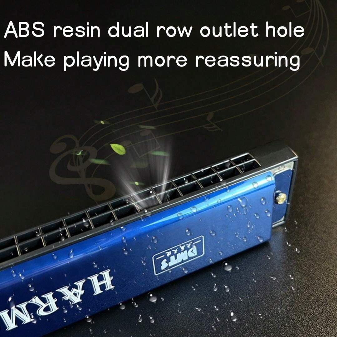 Metal Material 24 Holes Harmonica With Brass-Reed Double-Row Structure ...