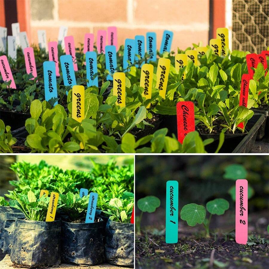Multicolored 4 Inch Plastic Plant Name Tags For Seedlings Garden Labels ...
