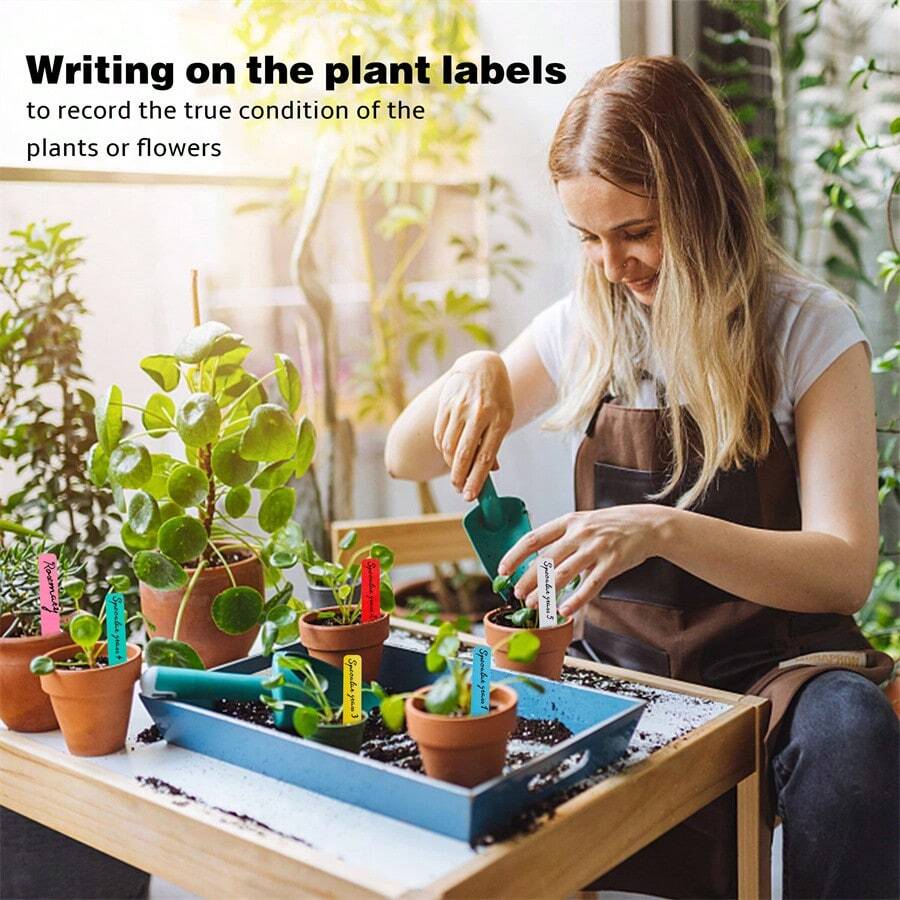 Multicolored 4 Inch Plastic Plant Name Tags For Seedlings Garden Labels ...