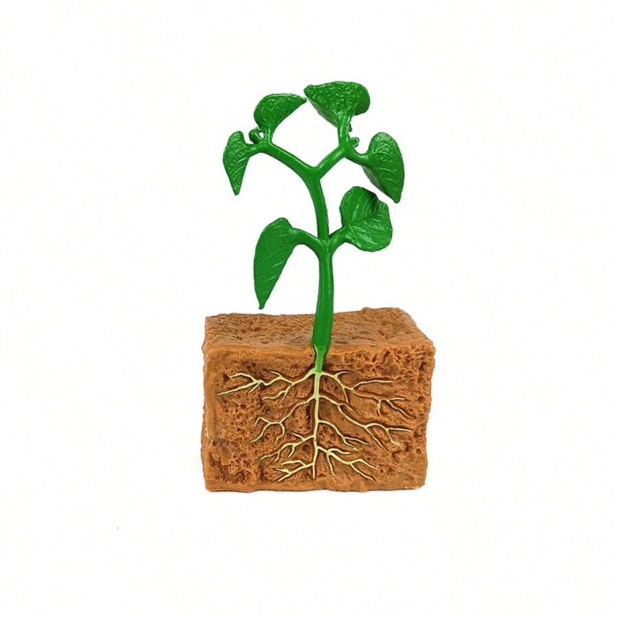 Simulation Of Plant Growth Cycle Soil Seed Germination And Growth ...