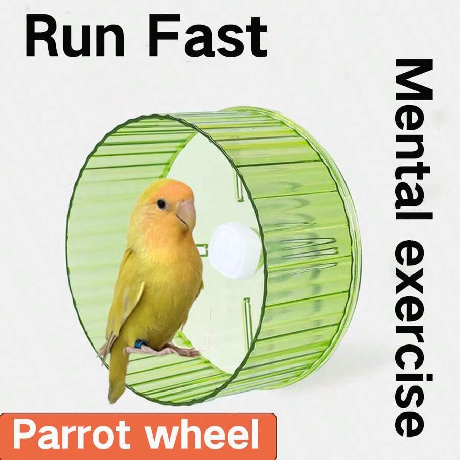 Parrot Running Wheel Toy, Entertainment, Relief, Decompression ...