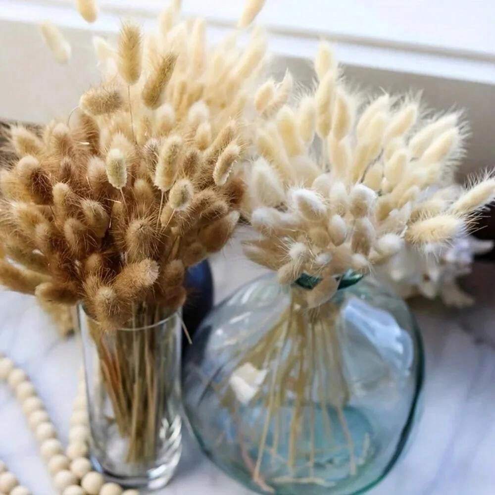 100 Pieces Of Dried Rabbit Tail Flower Bouquet, Wedding Flowers ...