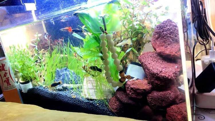 5 Pcs Per Set Red Volcanic Rock, Bio-Filter Media For Marine And ...