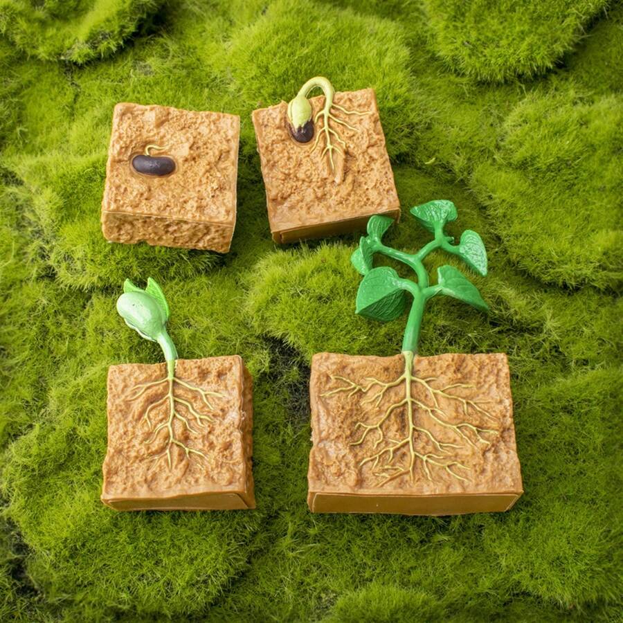 Simulation Of Plant Growth Cycle Soil Seed Germination And Growth ...