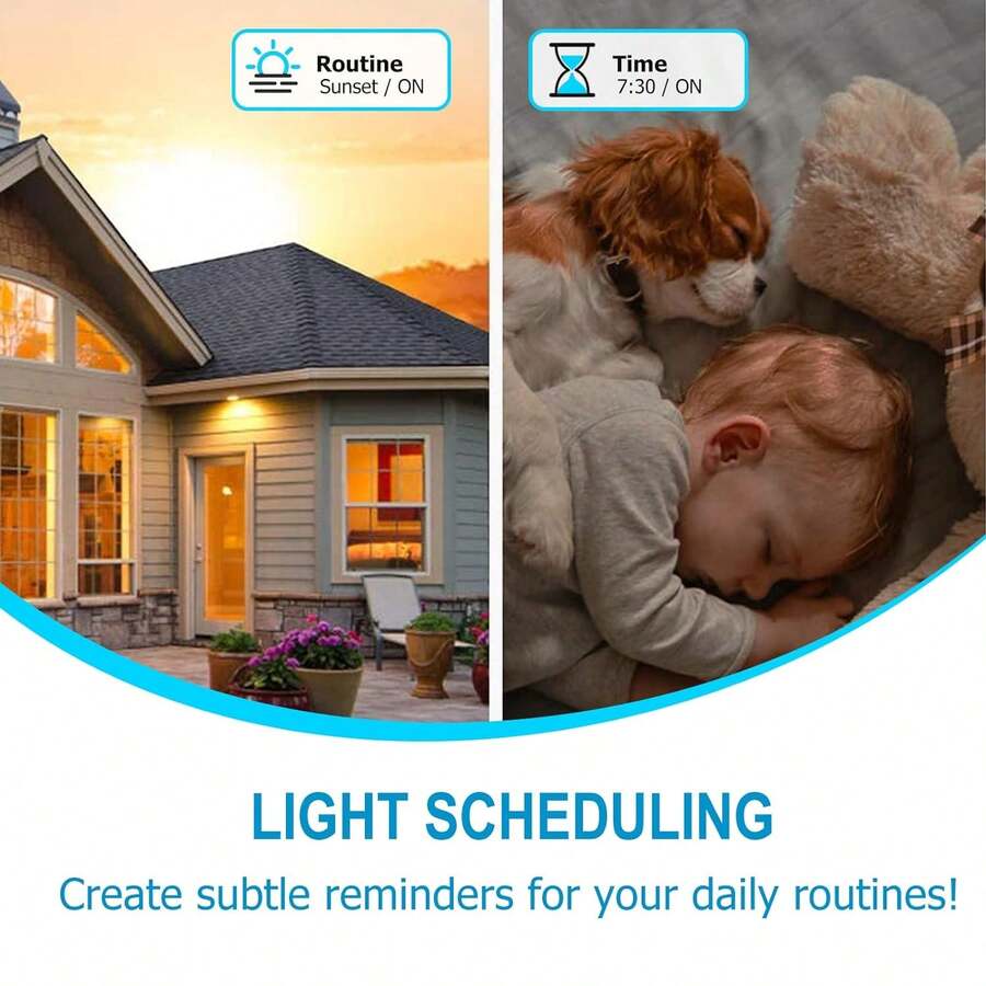 Mini Smart Mesh Switch, Remote Control And Voice Control For Alexa APP ...