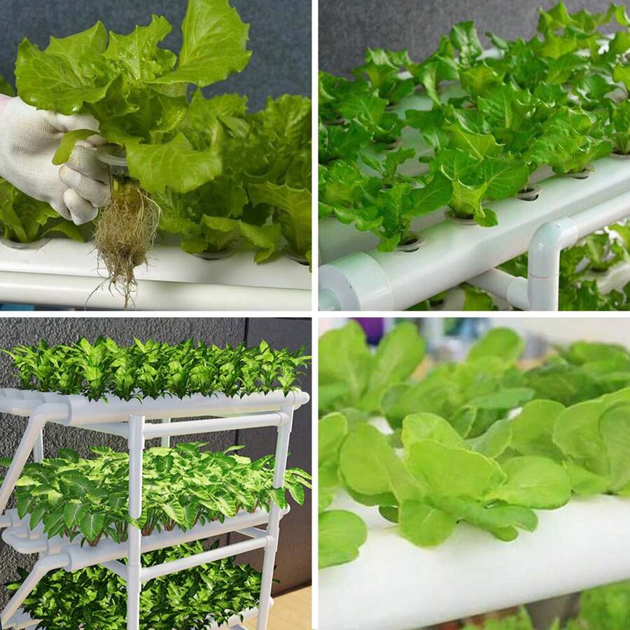Hydroponic Growing System | Indoor Planting Kit With Water Pump ...