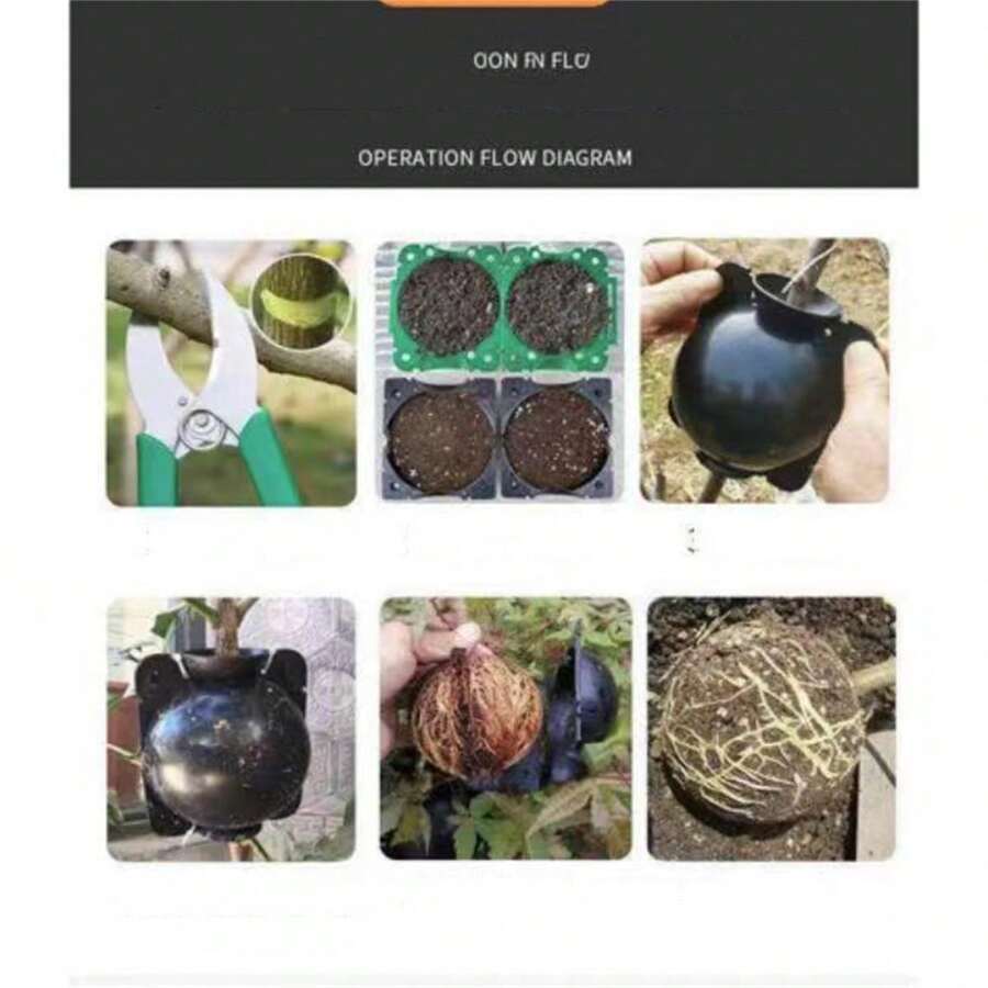 1pc Plant Rooting Box Plant Propagation Ball For Air Layering And ...