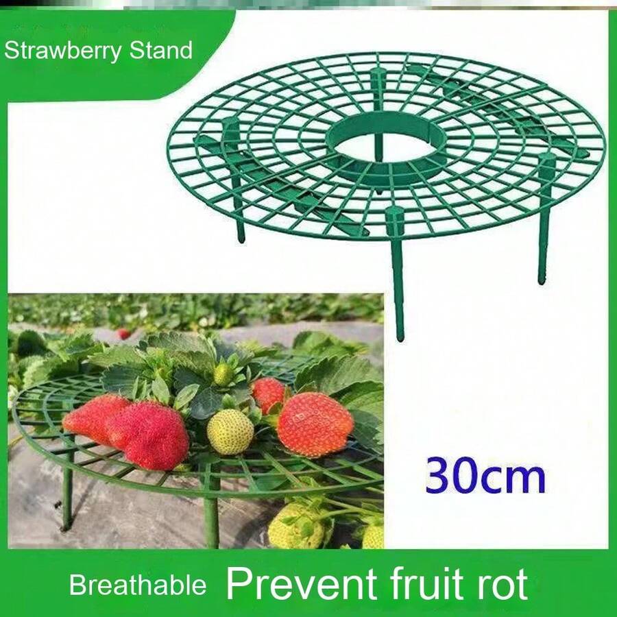 One Strawberry Planting Rack Horticultural Tool Cultivation Stand ...