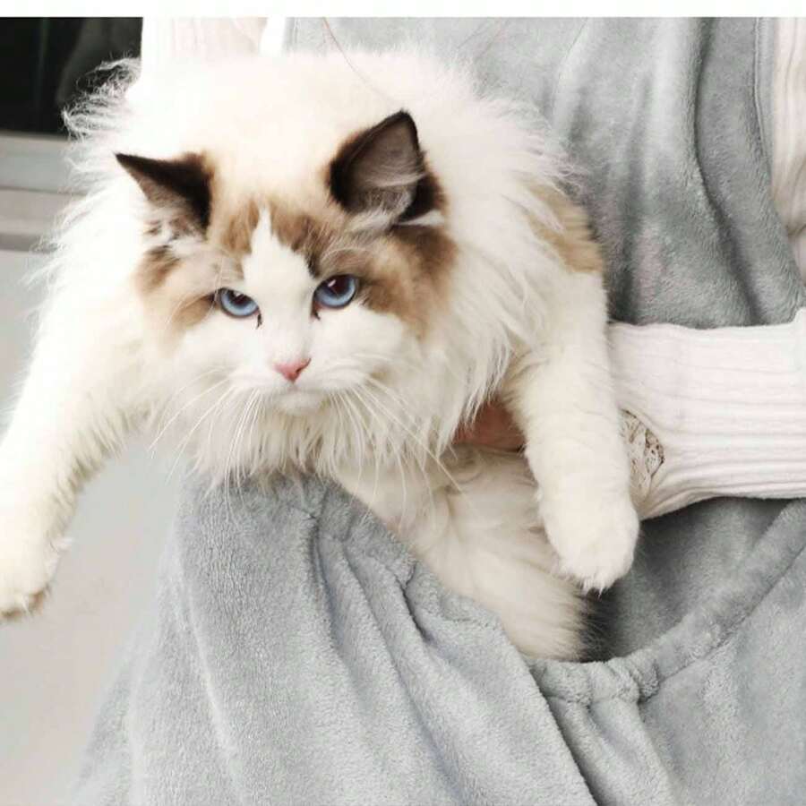 Arctic Fleece Pet Clothing Lit. Cuddle Cat Suit Litter Cushion Cat ...