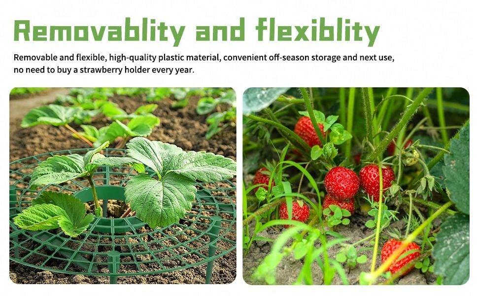5-Pack Strawberry Plant Support - Strawberry Growing Rack - Strawberry ...