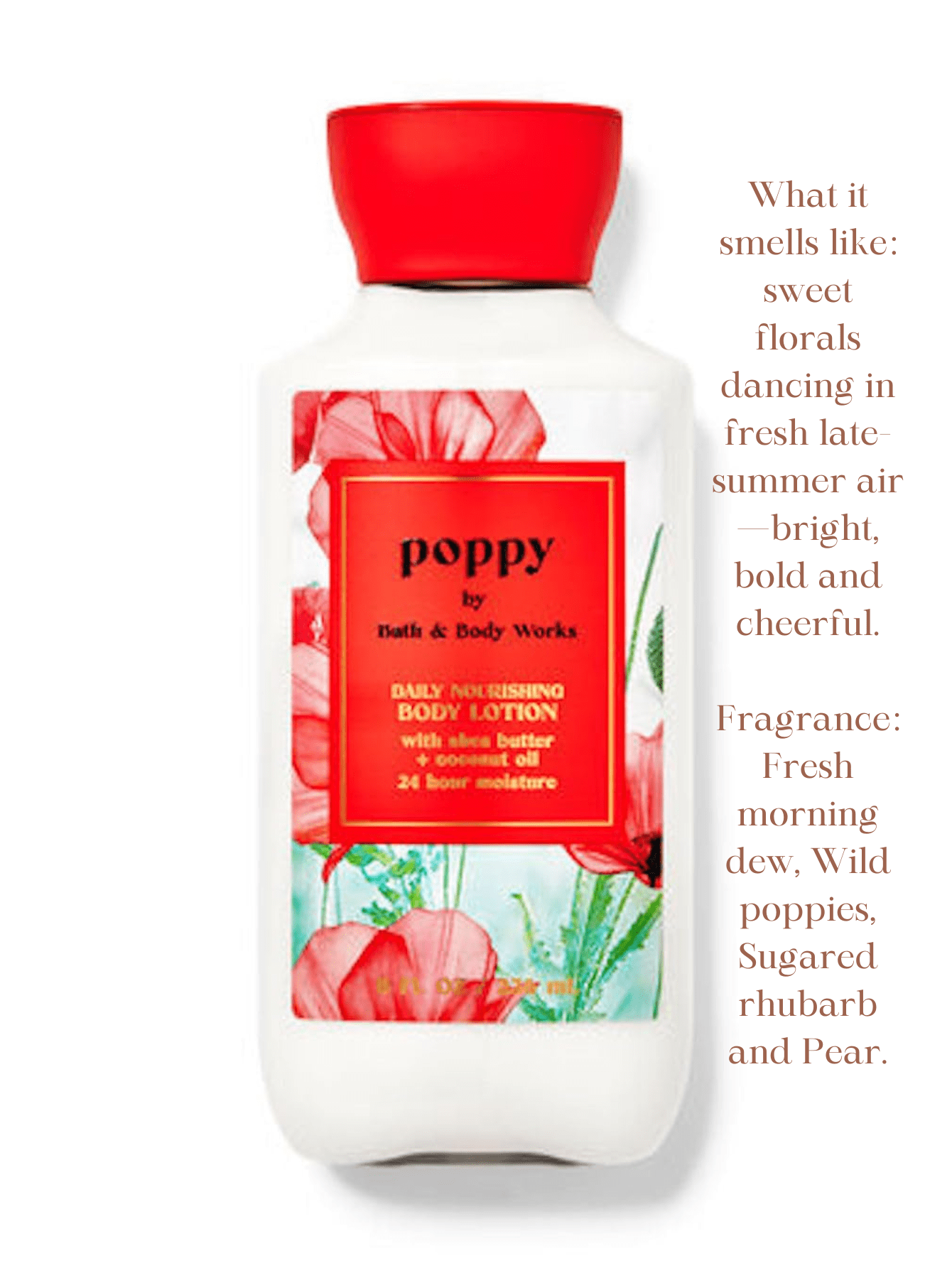 Bath And Body Works BBL Body Lotion Fragrance | SHEIN USA