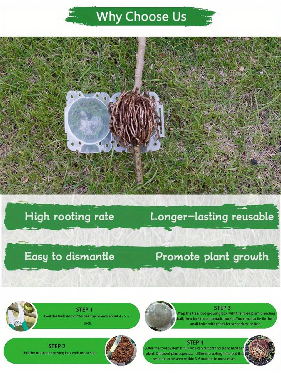 20PCS Tree Root Growing Box Reusable Rooting Ball Grafting Tools ...