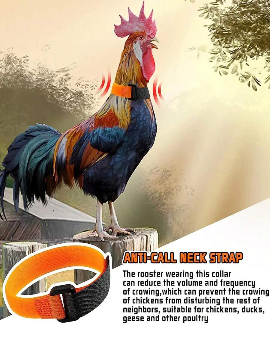 Set Of 4 Random Colored Poultry Neck Rings, Designed To Prevent ...