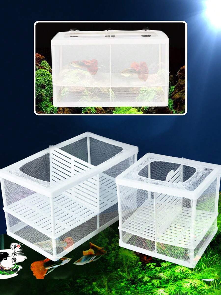 1pc Detachable Suction Cup Mesh Suspended Fish Incubator Box, Suitable ...