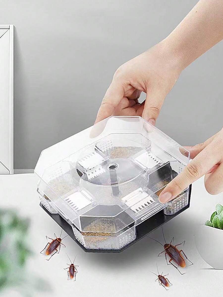 Cockroach Bait Trap For Indoor Use, Safe And Effective Physical ...