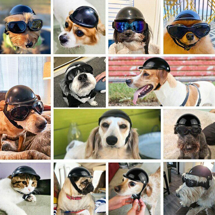 Adjustable Pet Helmet For Dogs And Cats, Anti-Collision Safety Riding ...