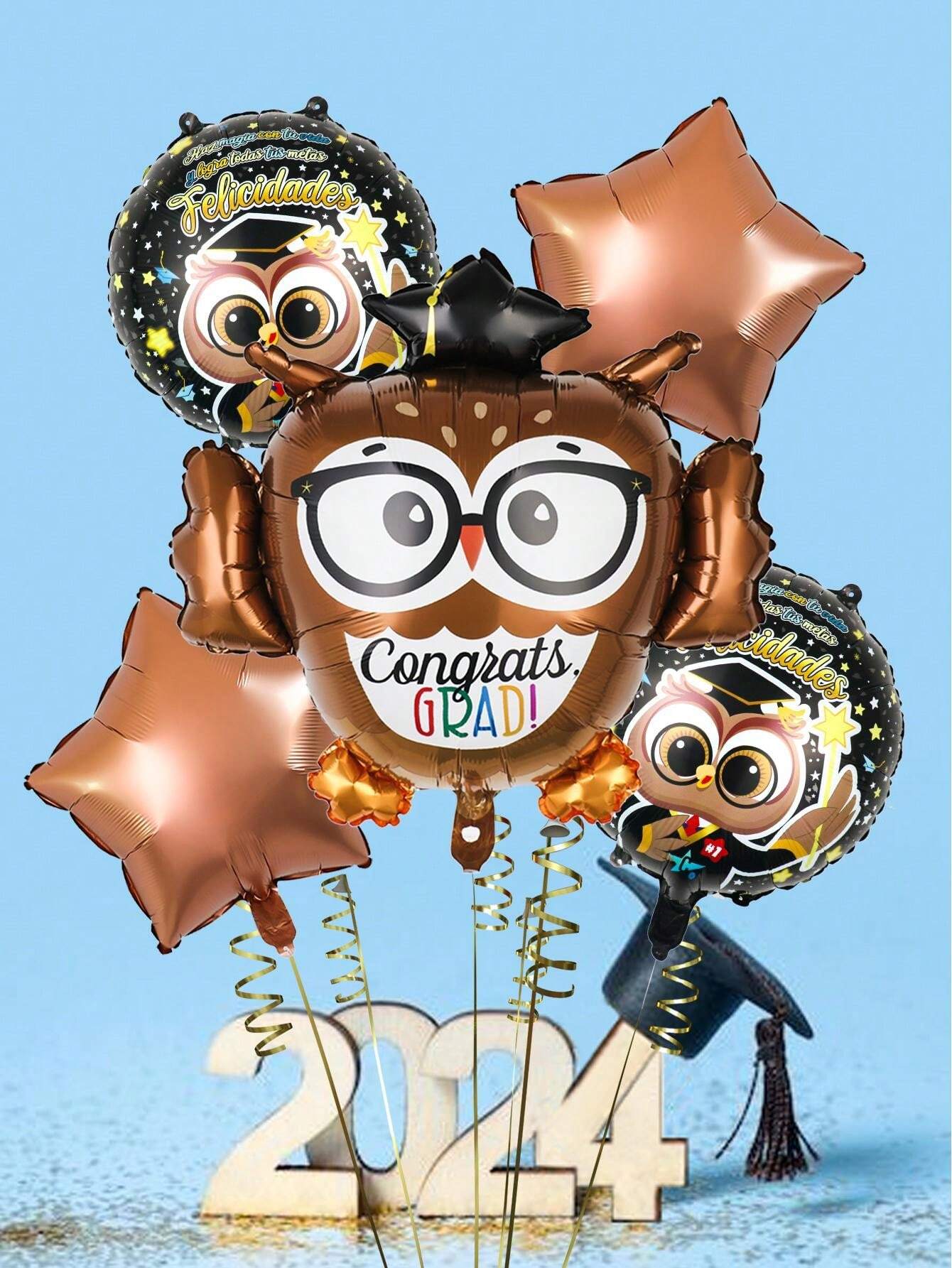 5pcs Owl Doctor Aluminum Foil Balloon Set With Brown Star, Graduating ...