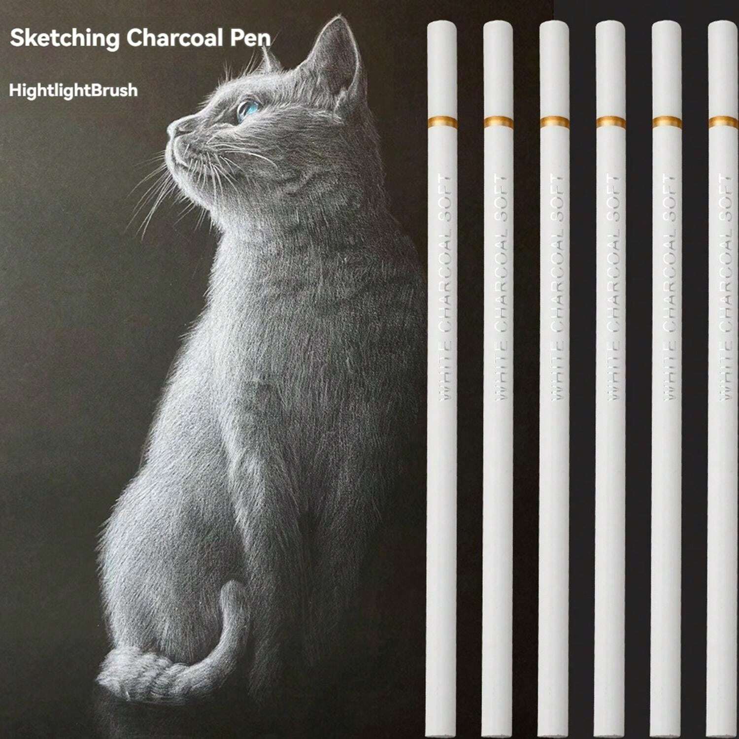 6 Pcs White Charcoal Pencil For Drawing, Professional White Pencils For ...