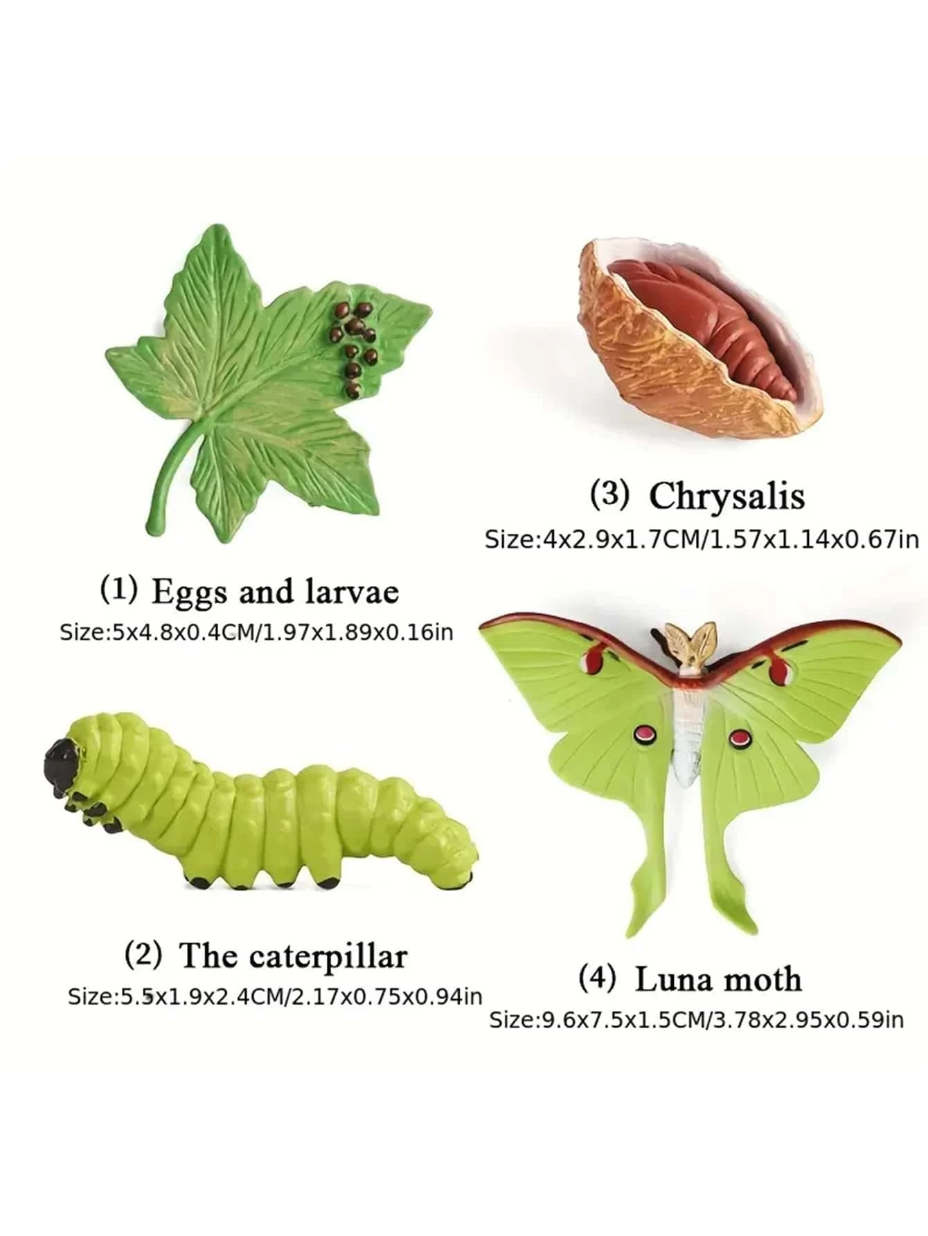 Animal Life Cycle Model Toys: Vivid Goose, Snail, Spider, Salmon ...