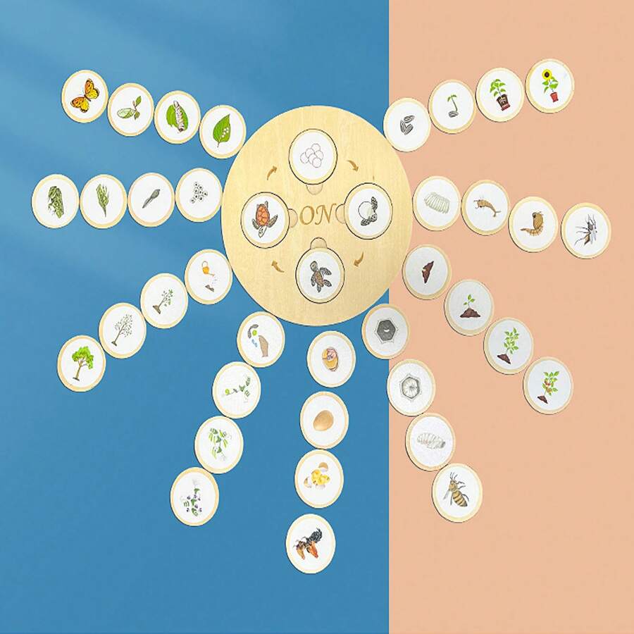 Montessori Wooden Life Cycle Board Set, Bio Science Educational Toy For ...