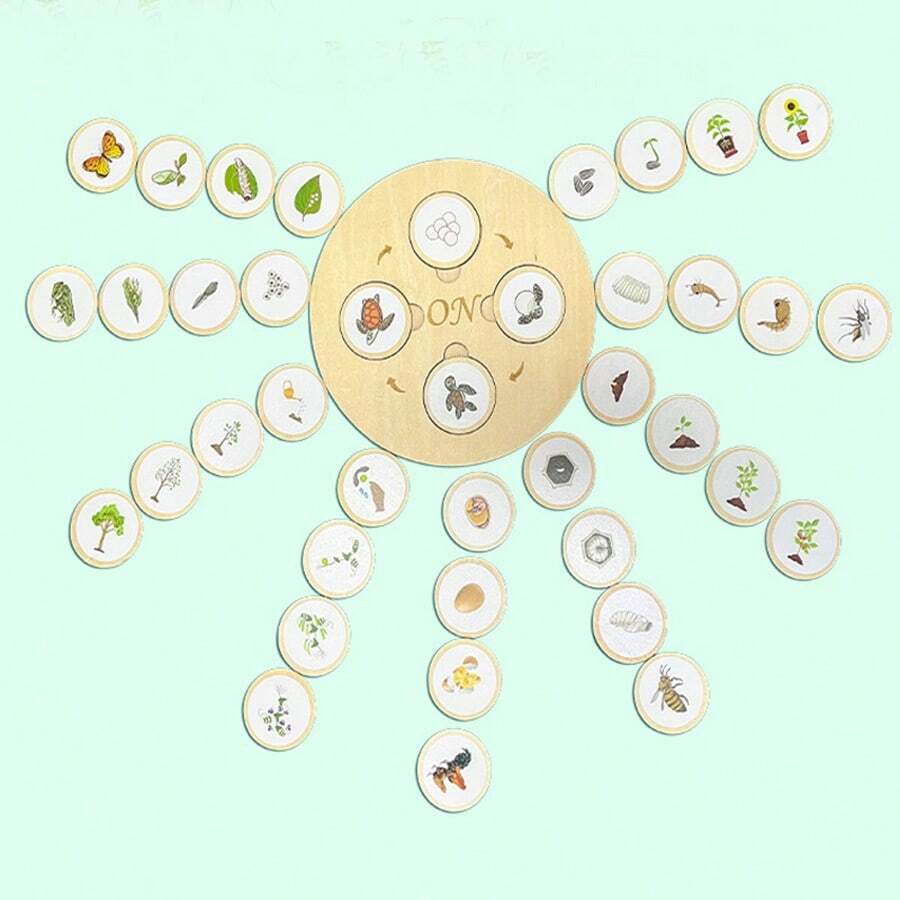 Montessori Wooden Life Cycle Board Set, Bio Science Educational Toy For ...