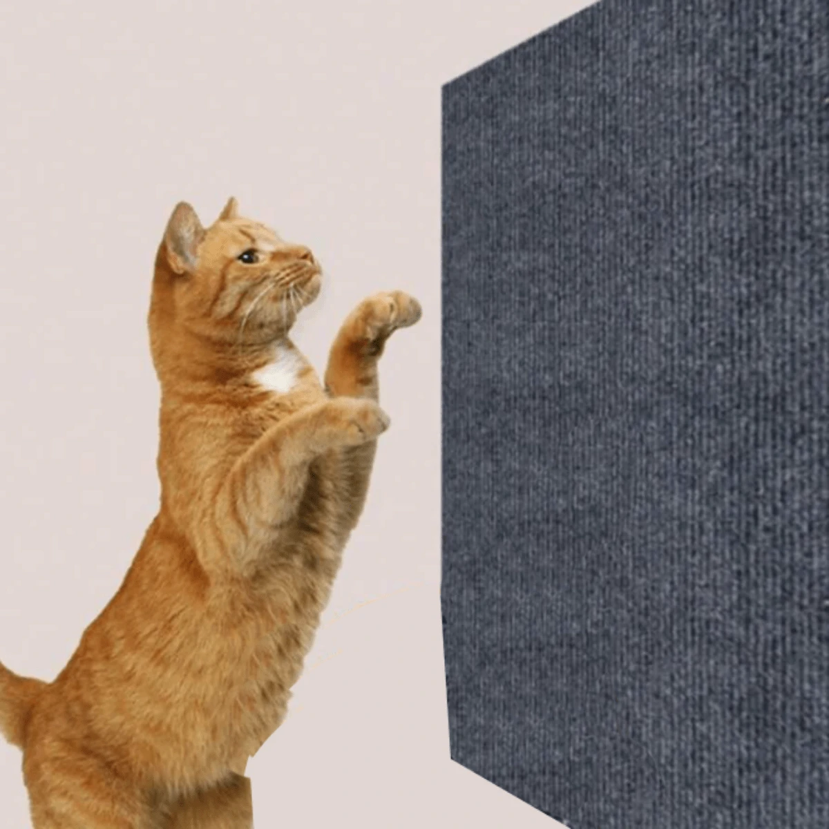 One Self-Adhesive Carpet Mat That Can Be Trimmed, Suitable For Cat ...