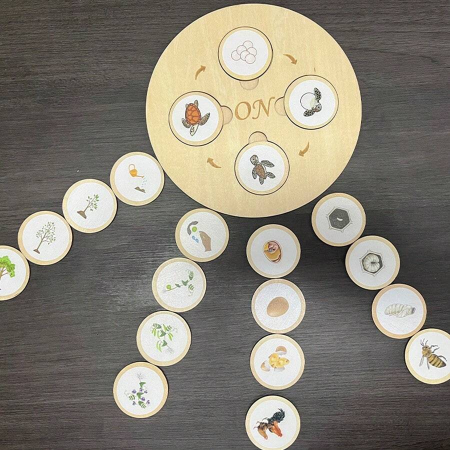 Montessori Wooden Life Cycle Board Set, Bio Science Educational Toy For ...