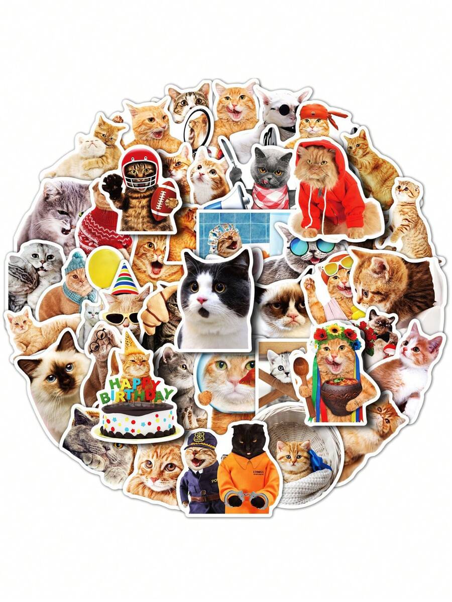 50 Sheets Realistic Cat Meme Stickers | SHEIN UK