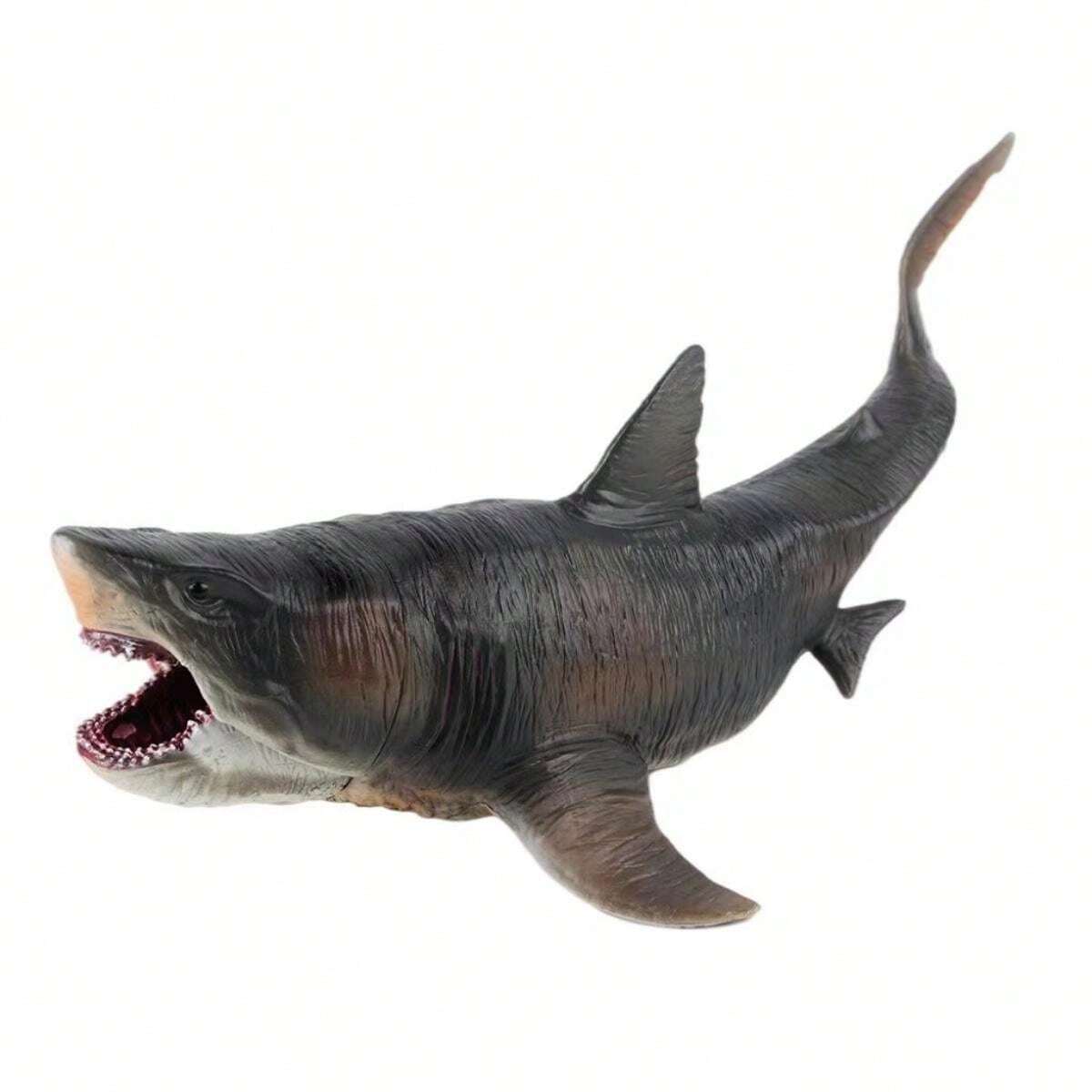 New Set Of Megalodon Realistic Ocean Animal Model Including Megalodon ...