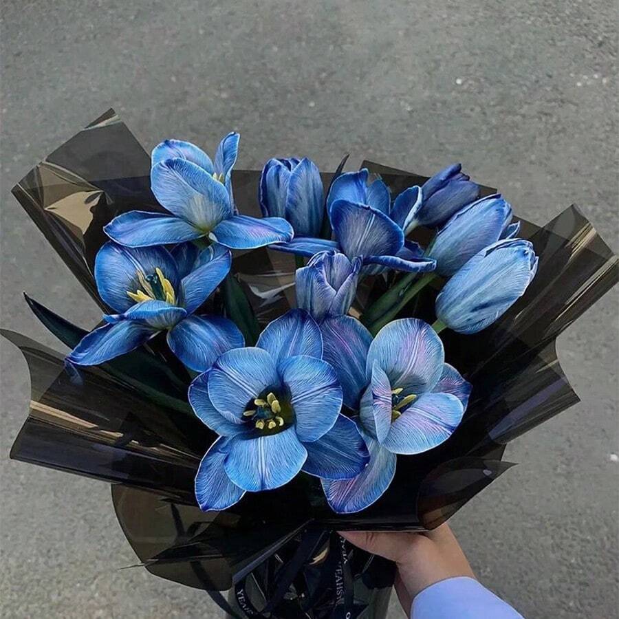 100 piezas Papel de envolver floral negro semi transparente OPP Crystal ...