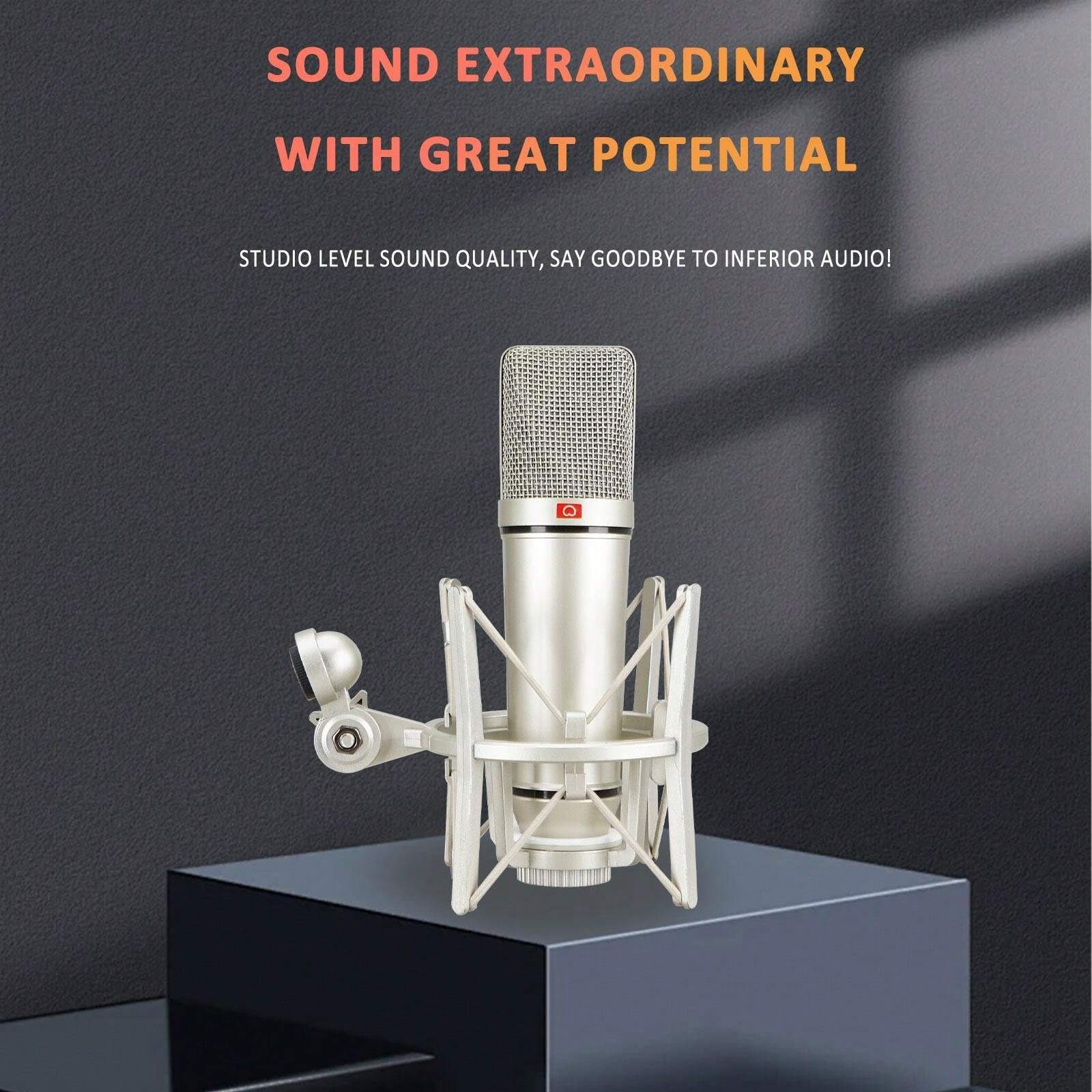 Studio-Set Kondensator-Richtmikrofon ideal für die Instrumenten ...